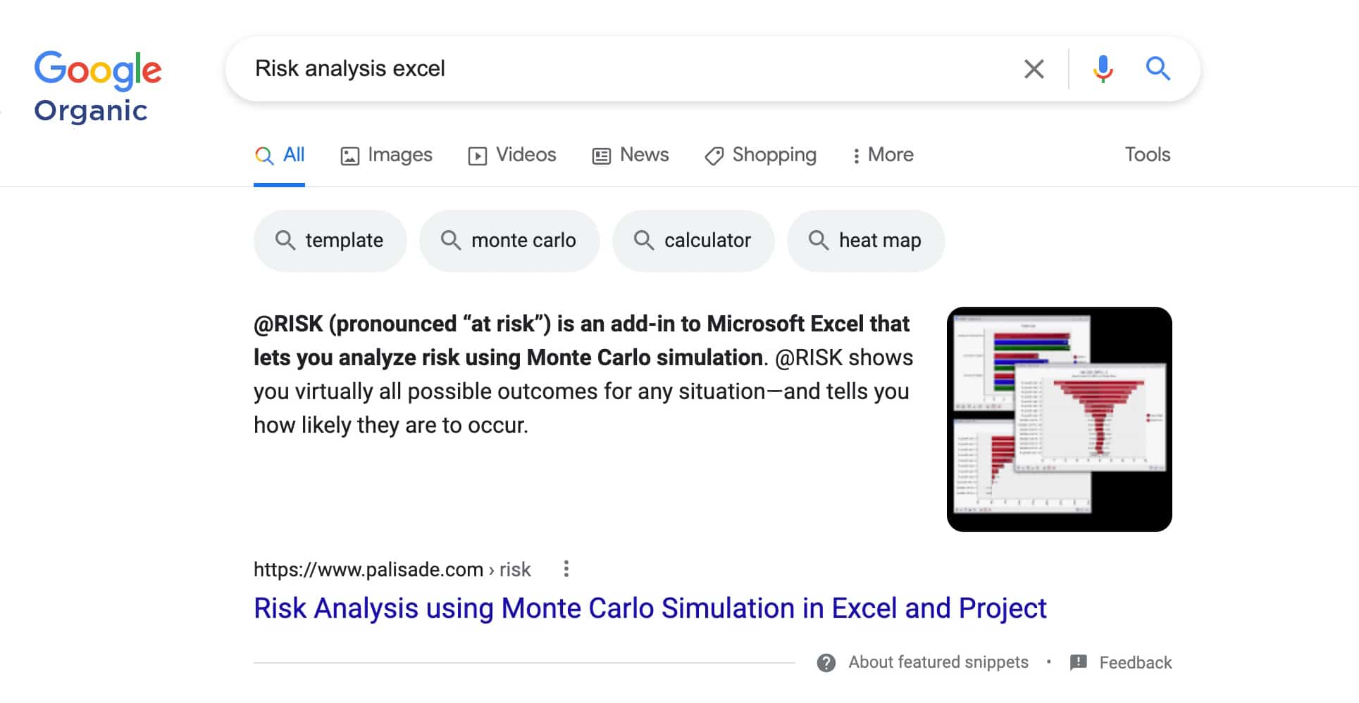 Palisade Case Study | C0MPLÉX1 AS